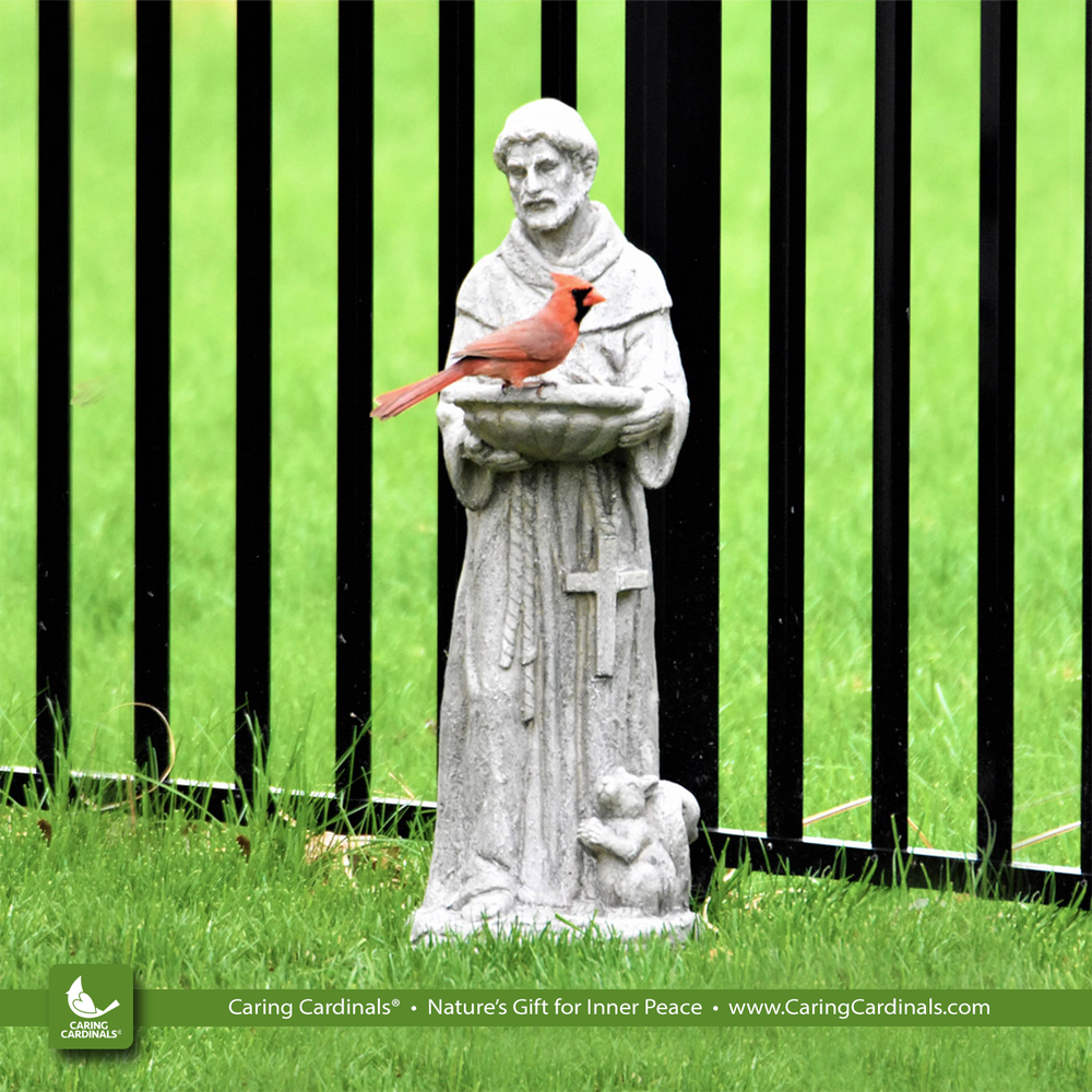SPIRITUAL SIGNS — CARING CARDINALS