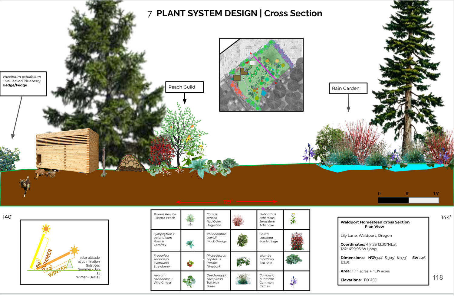 Gallery 3 — Mother Tree Eco Design