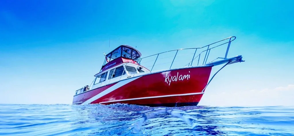 Jupiter Scuba Diving