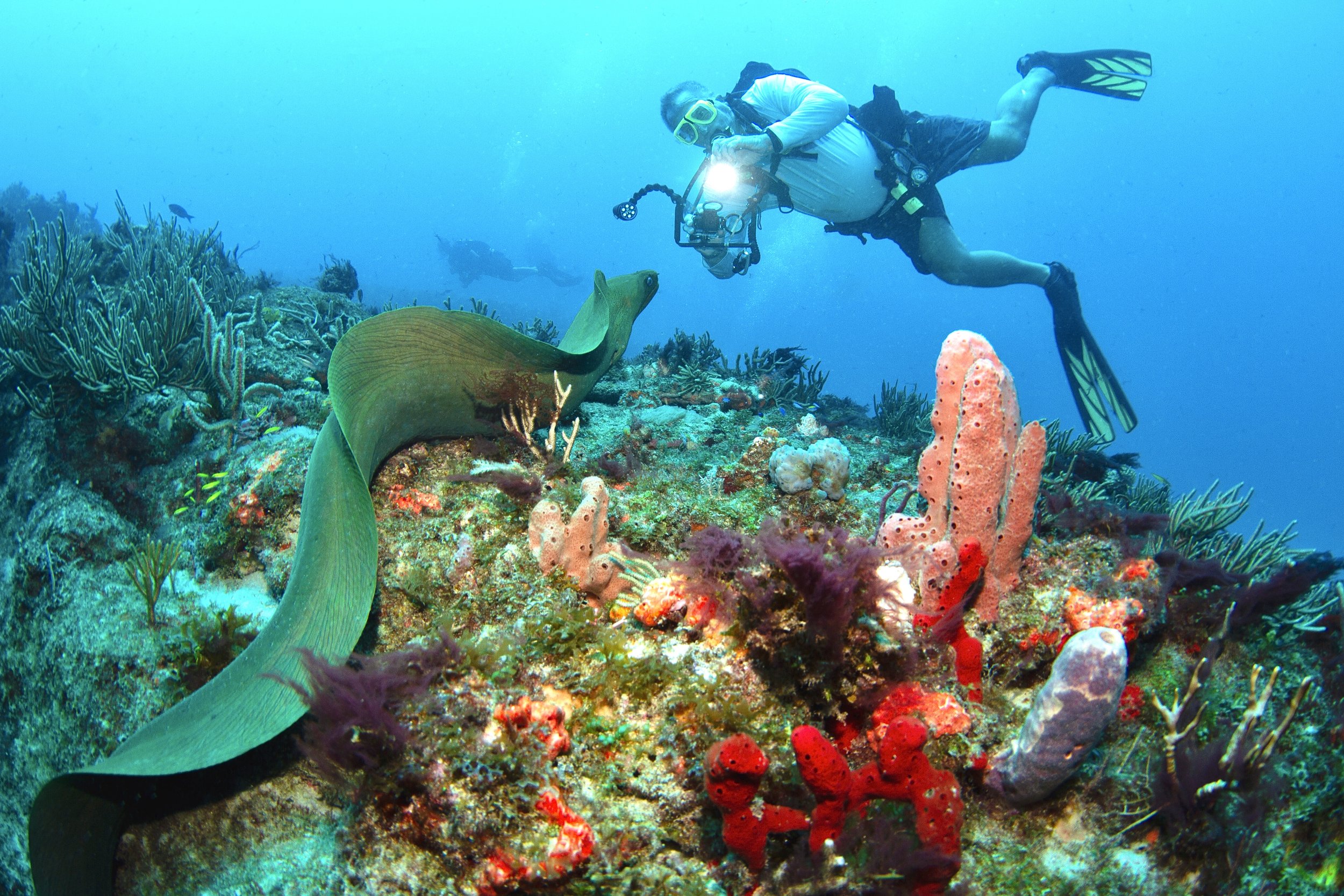 Private Dive Guide in Jupiter, FL | Jupiter Scuba Diving