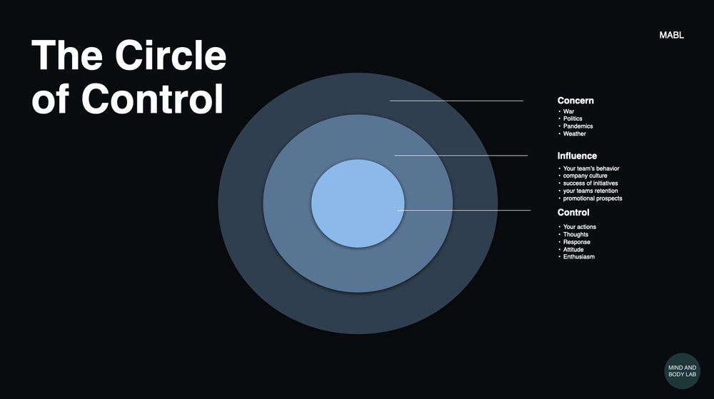 Mind And Body Lab - Leadership and well-being