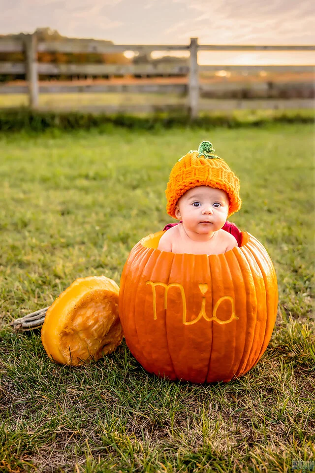 Baby Mia - 3 Month Session // Mattawan, MI Baby Photographer — Finkanie ...