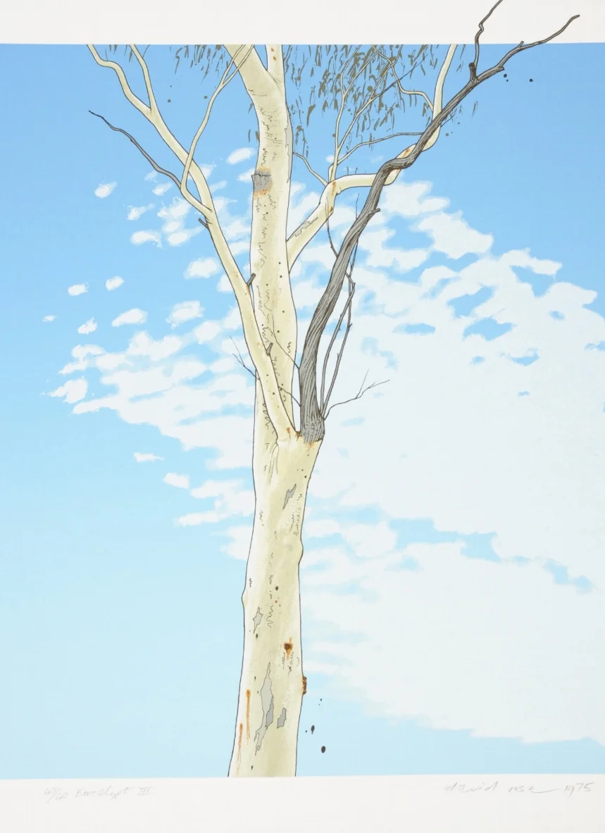 David Rose Printmaker