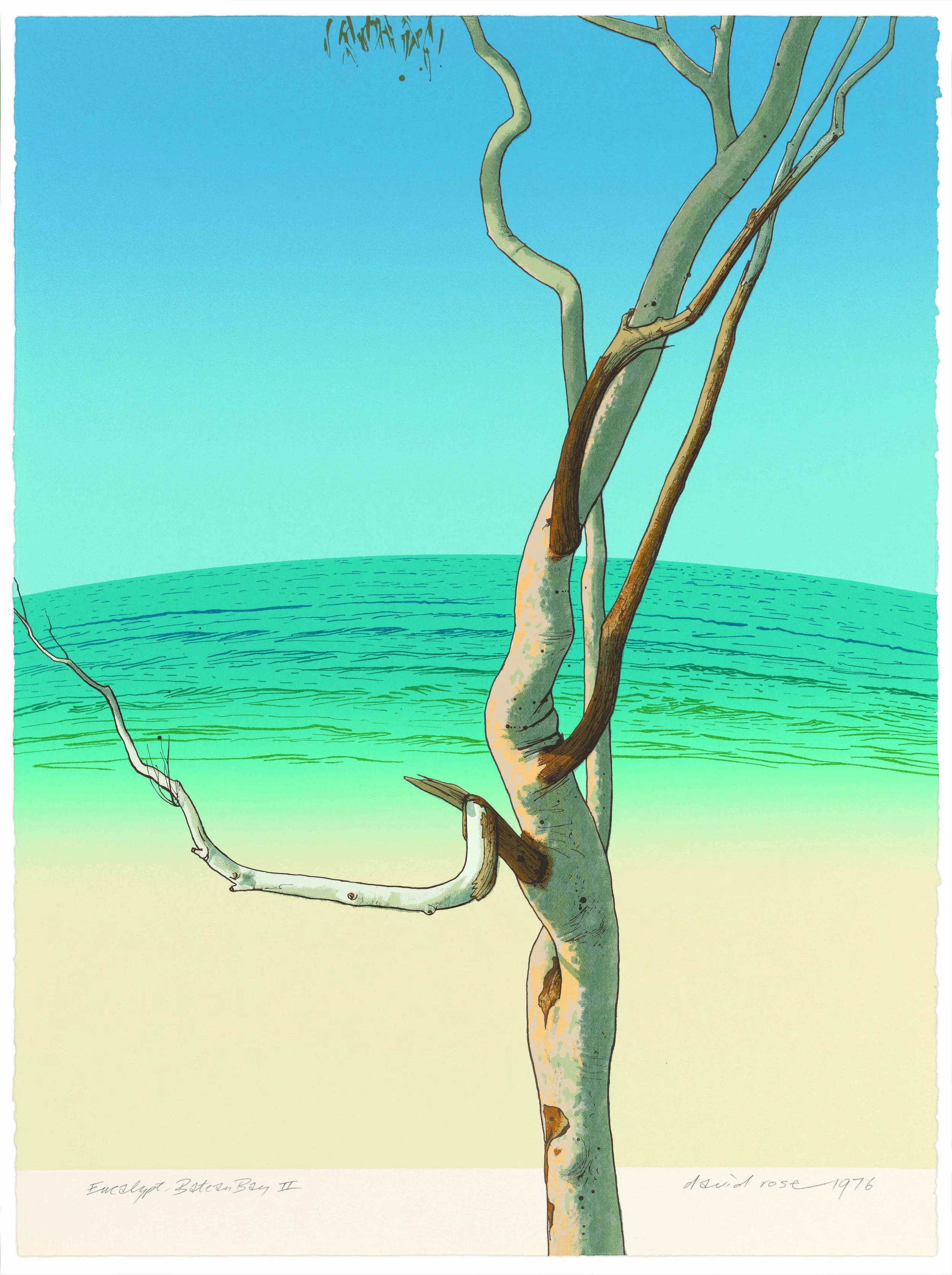 David Rose Printmaker