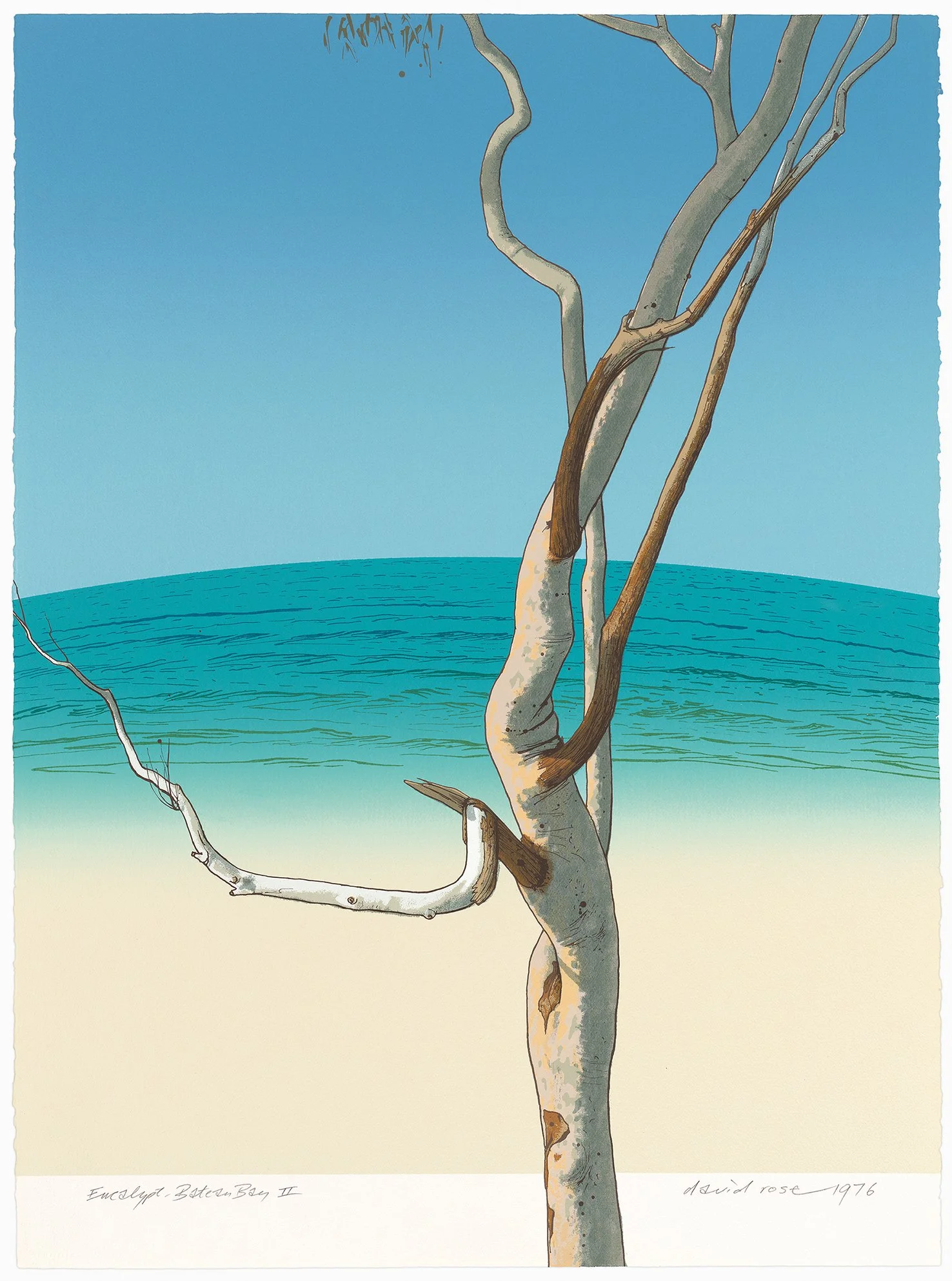 David Rose Printmaker
