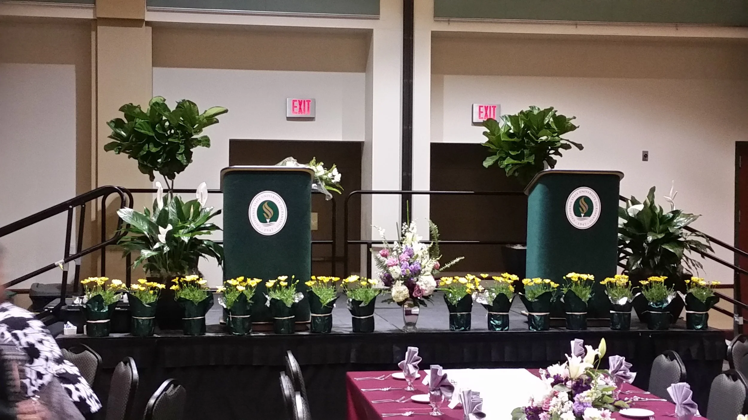 Graduation Stage Decoration Design