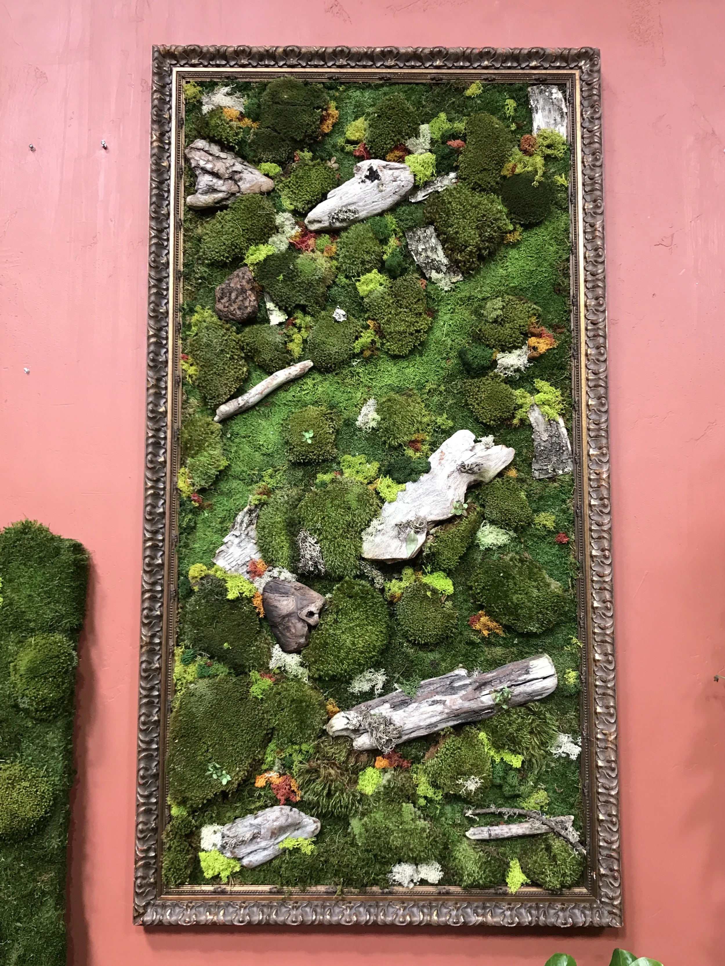 Moss Art by Kifumi Keppler — Exotic Plants Sacramento