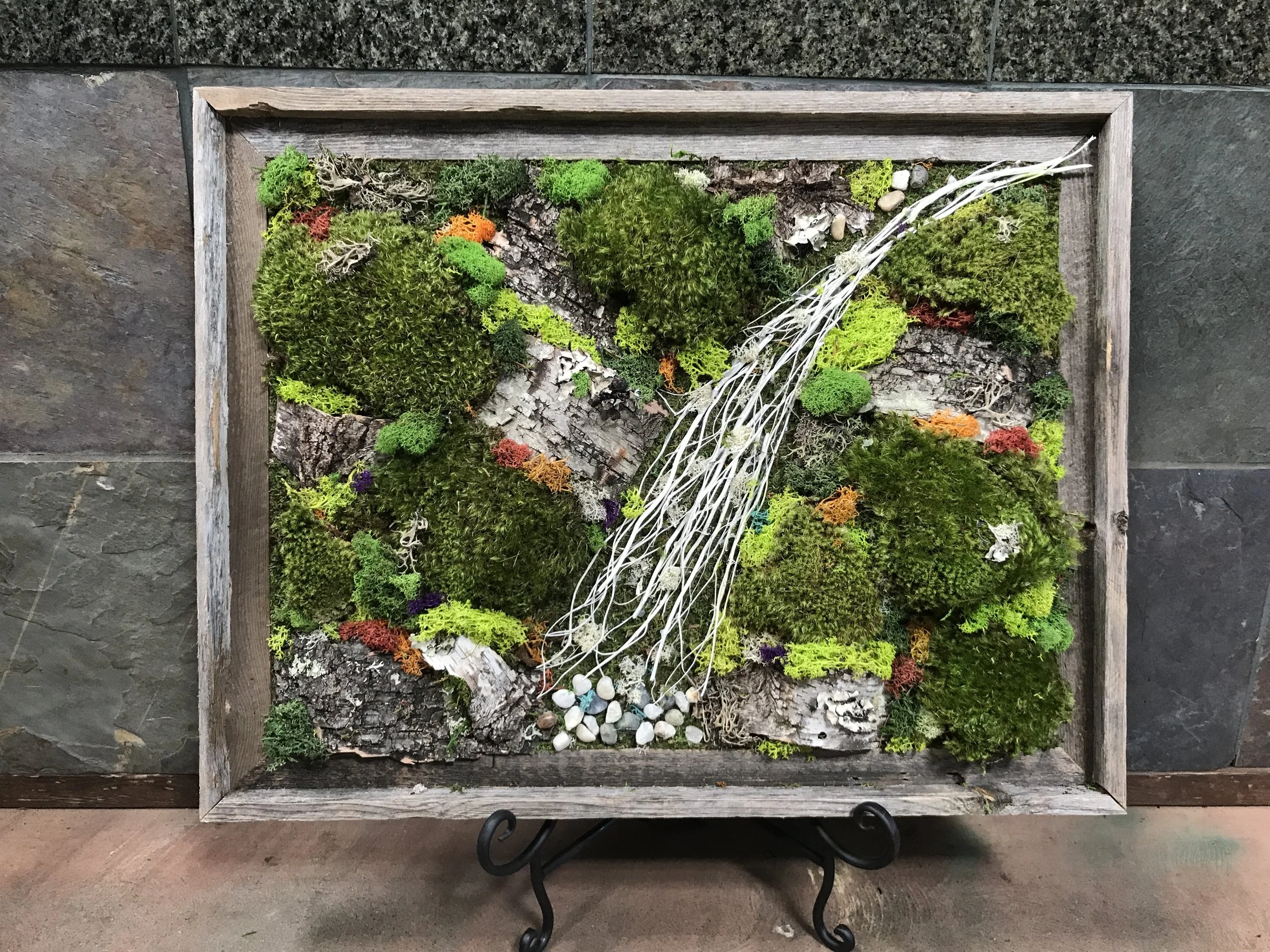 Moss Art by Kifumi Keppler — Exotic Plants Sacramento