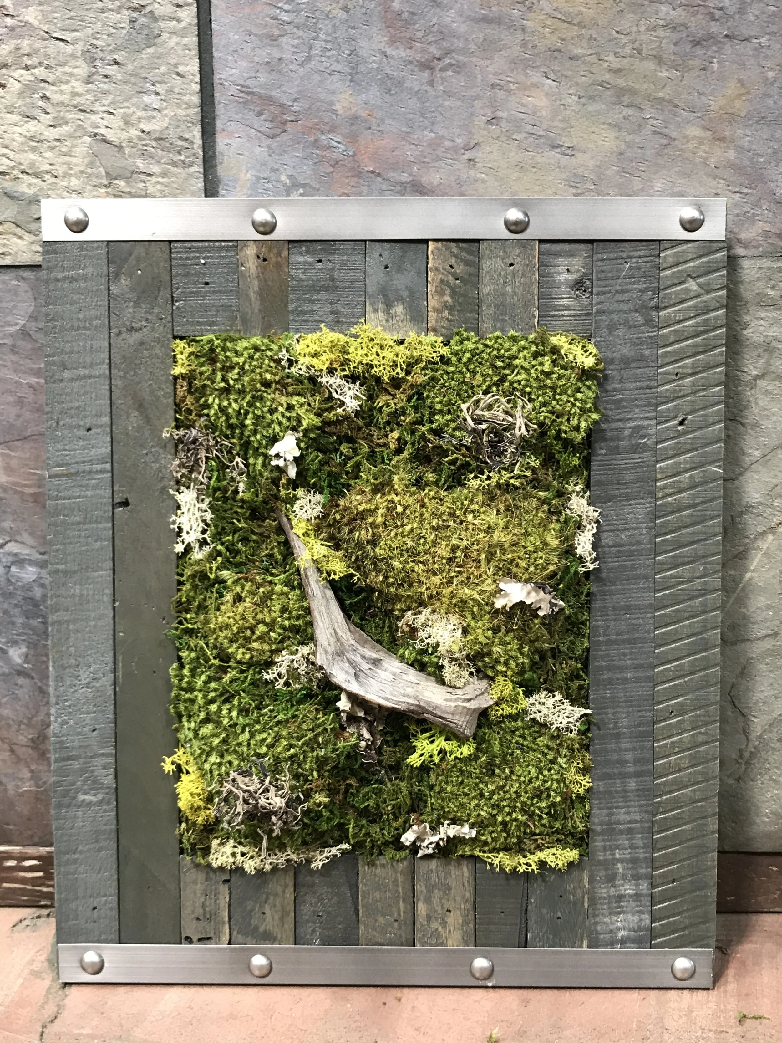 Moss Art by Kifumi Keppler — Exotic Plants Sacramento