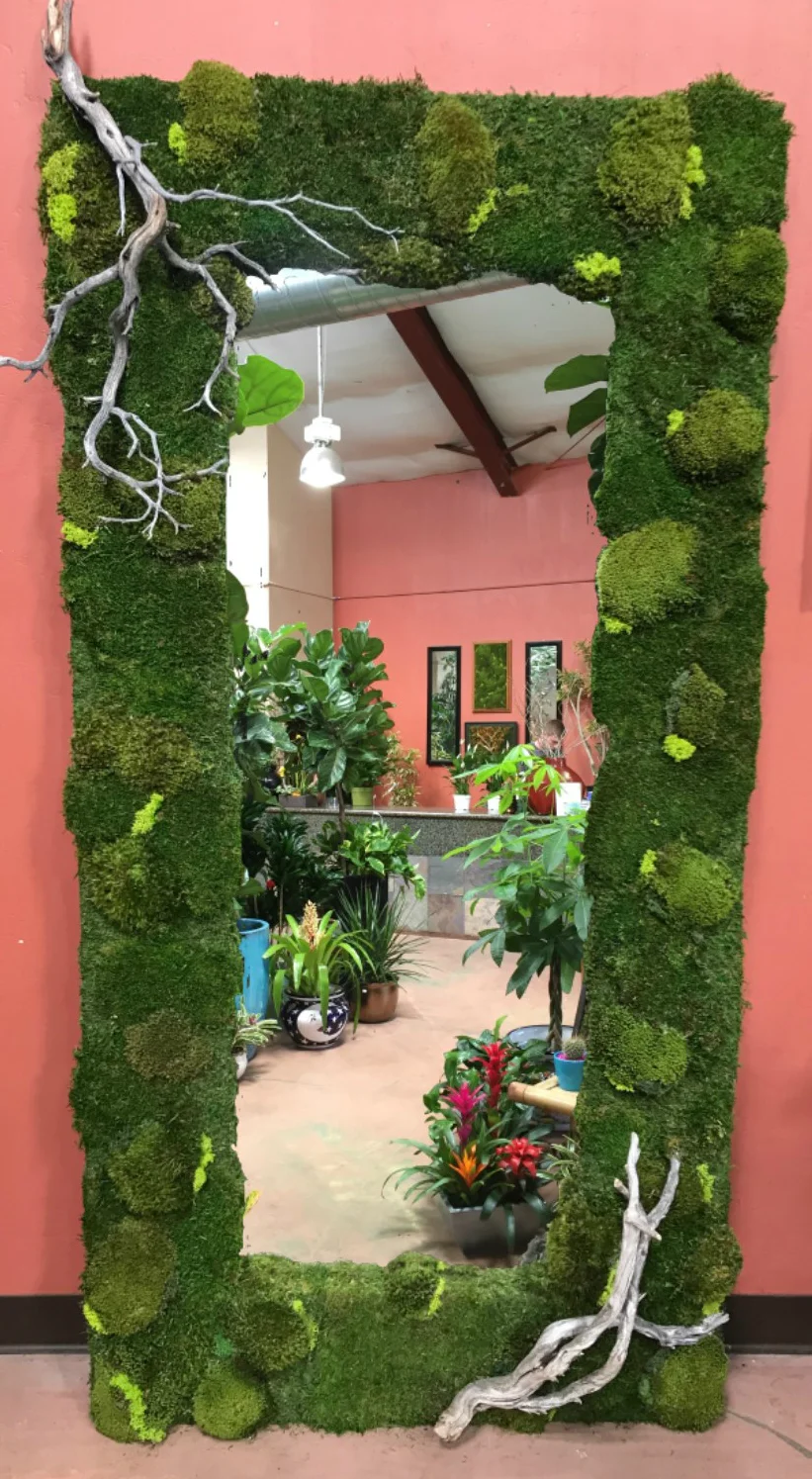 Moss Art by Kifumi Keppler — Exotic Plants Sacramento