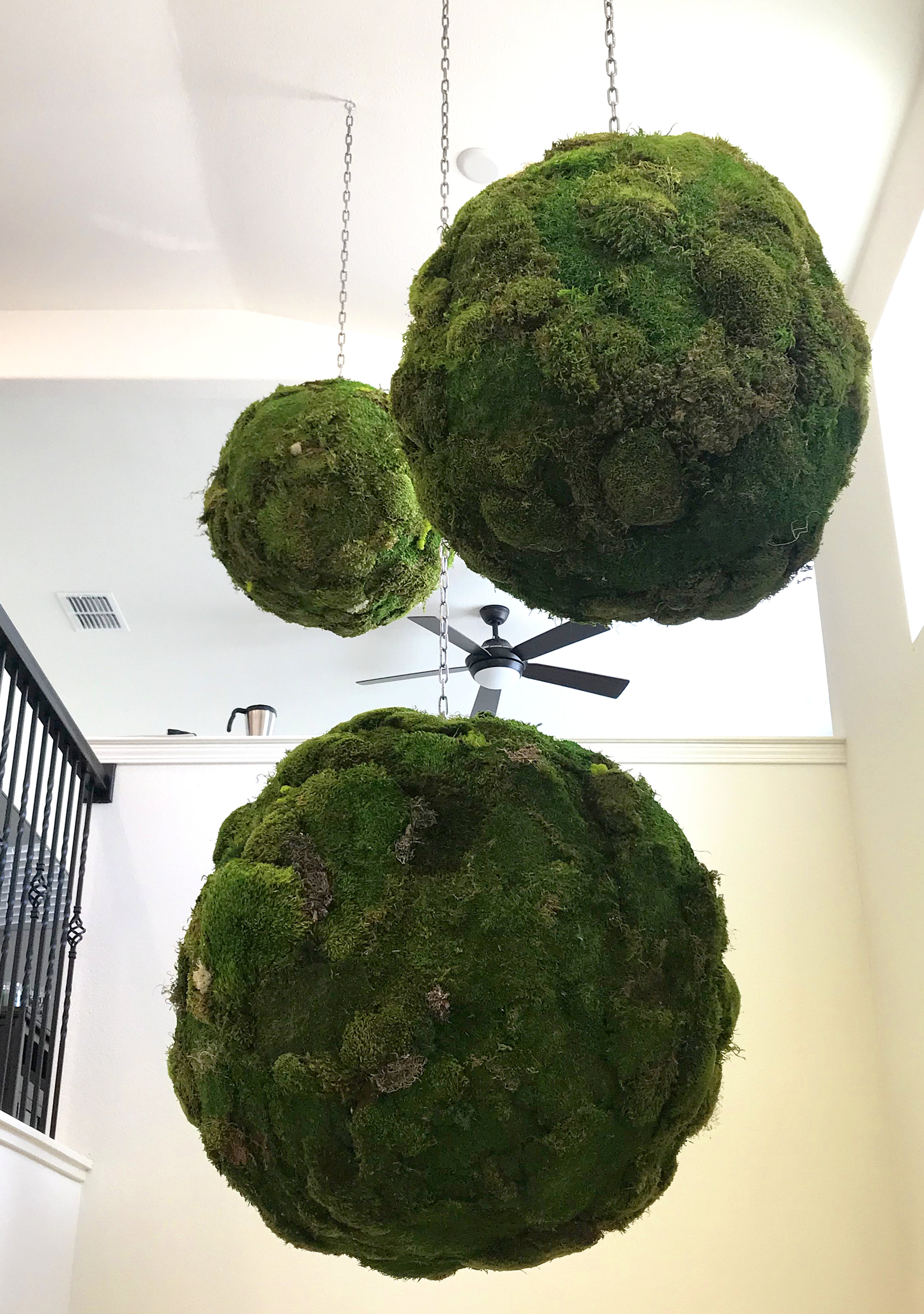 Moss Art by Kifumi Keppler — Exotic Plants Sacramento
