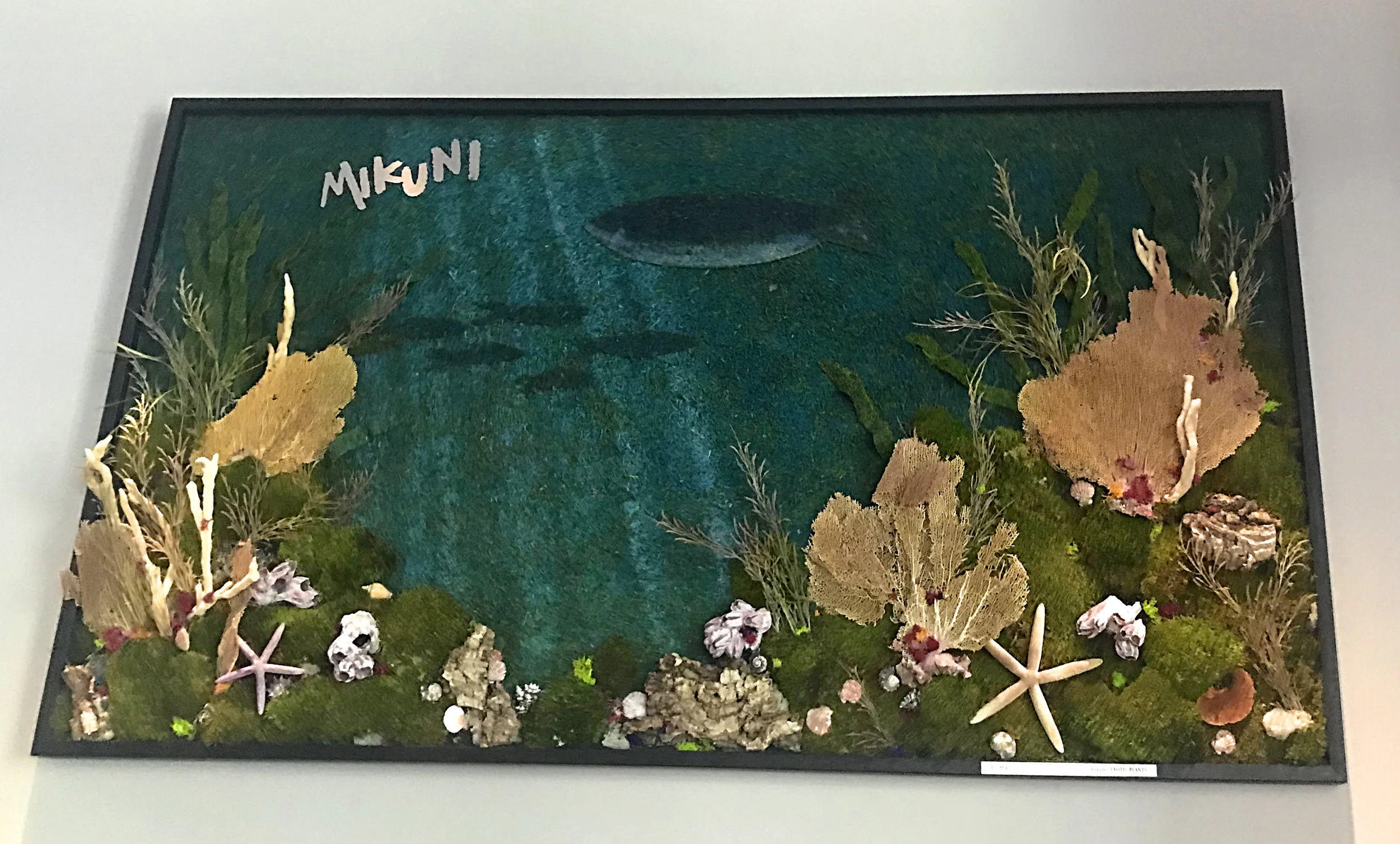 Moss Art by Kifumi Keppler — Exotic Plants Sacramento