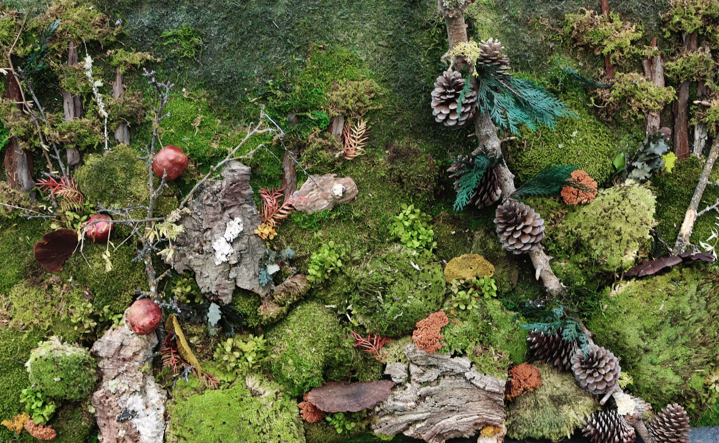 Moss Art by Kifumi Keppler — Exotic Plants Sacramento