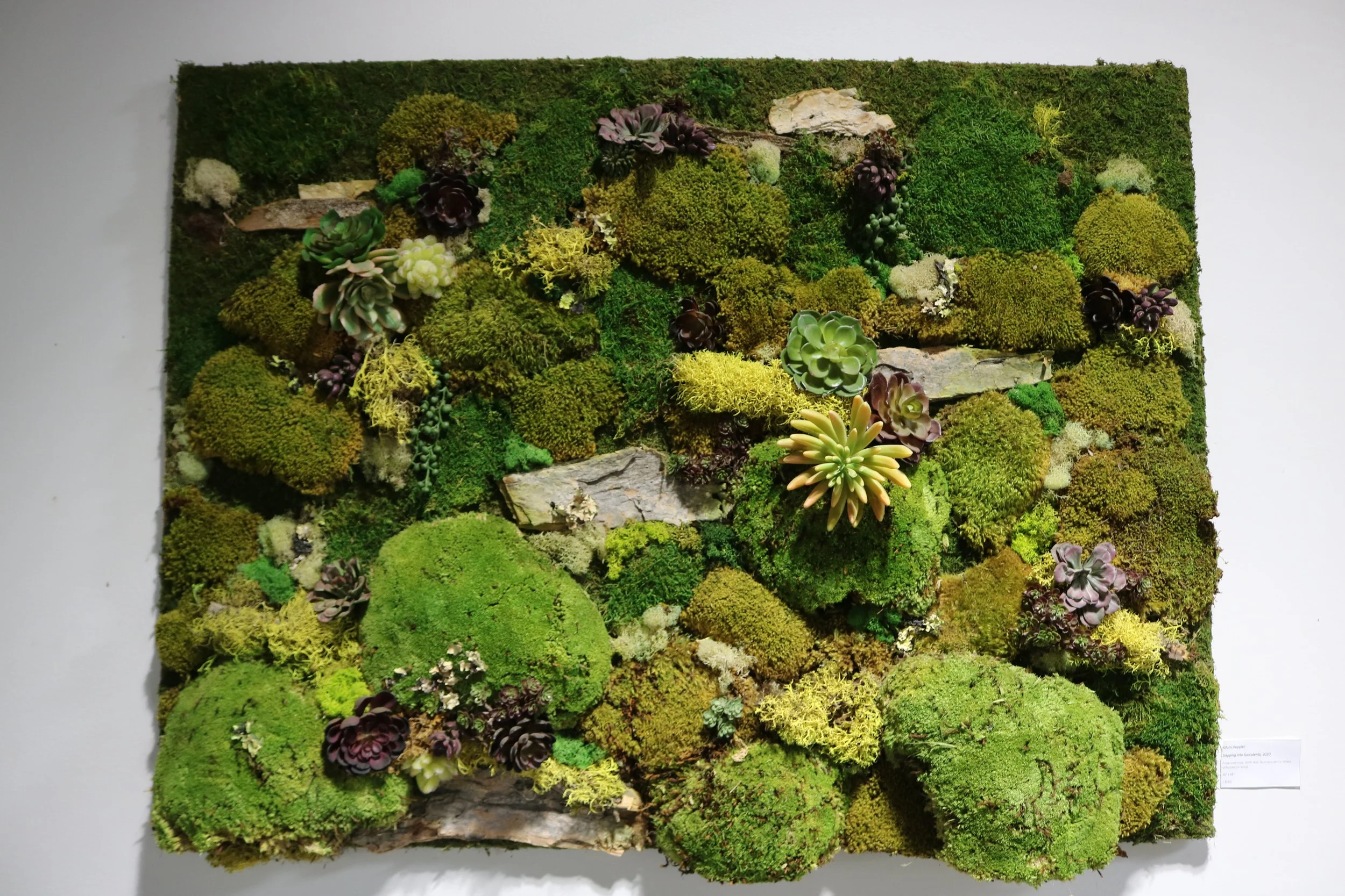 Moss Art by Kifumi Keppler — Exotic Plants Sacramento