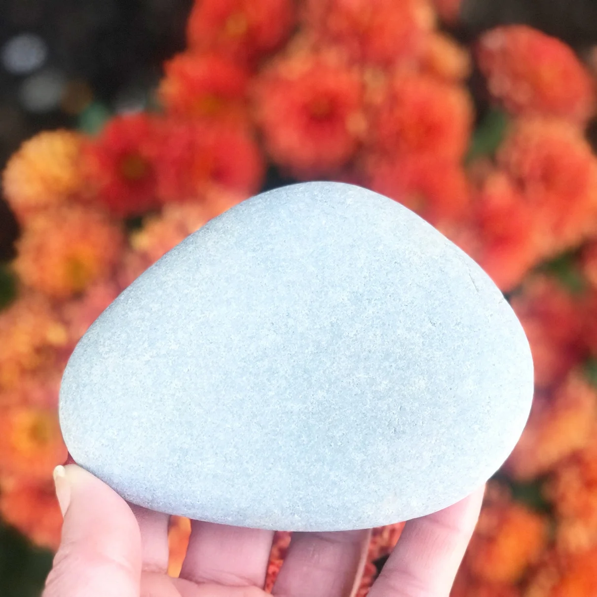 RAKindness Cards — The Kindness Rocks Project®