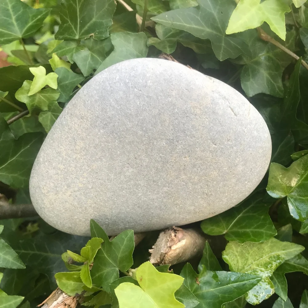 RAKindness Cards — The Kindness Rocks Project®