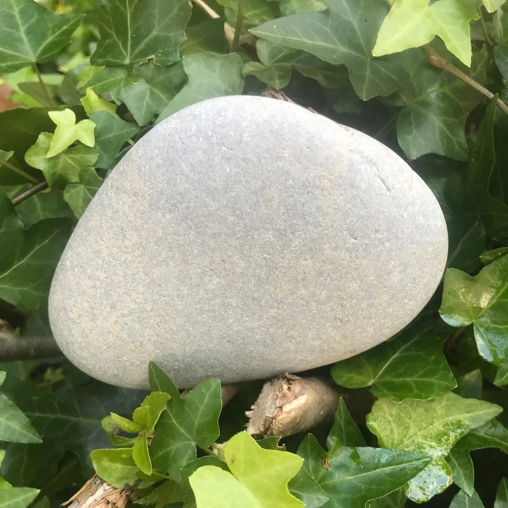 RAKindness Cards — The Kindness Rocks Project®