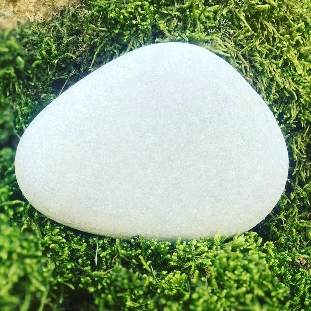 RAKindness Cards — The Kindness Rocks Project®