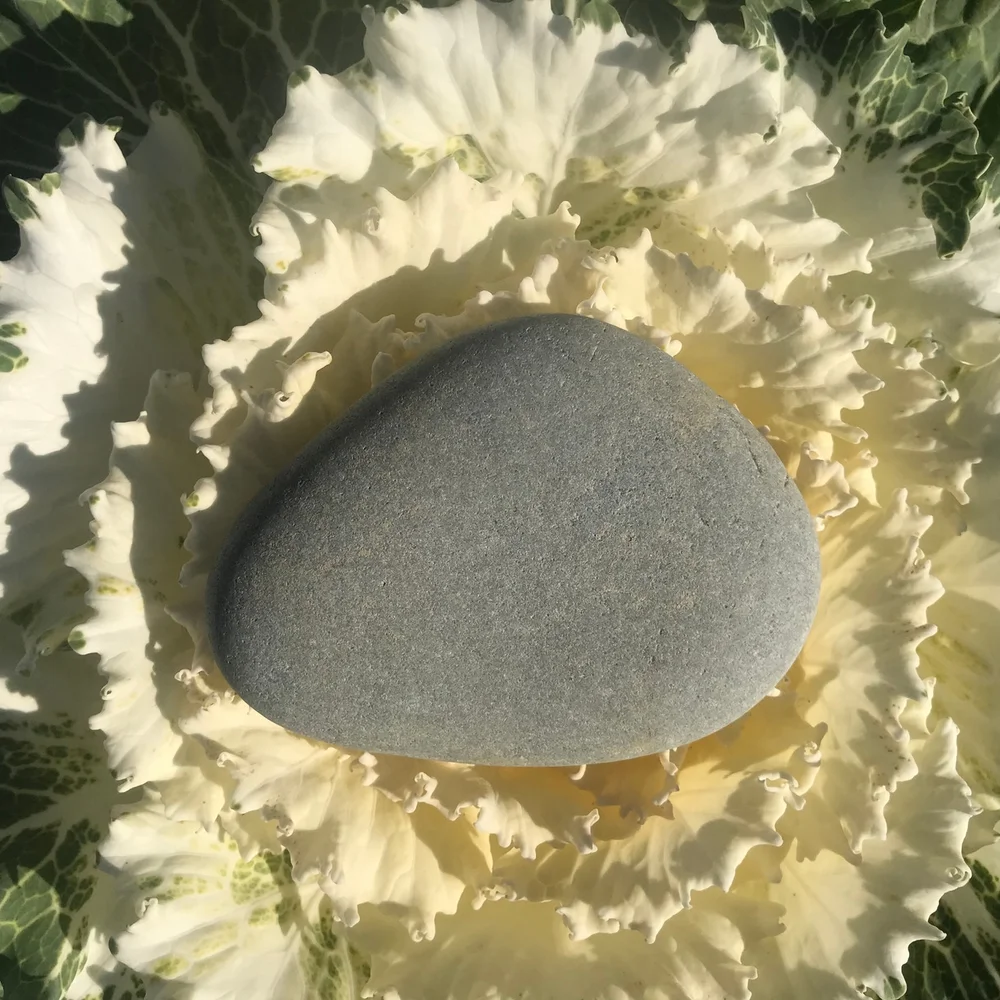 RAKindness Cards — The Kindness Rocks Project®