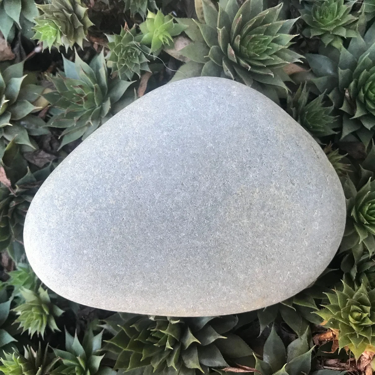 RAKindness Cards — The Kindness Rocks Project®