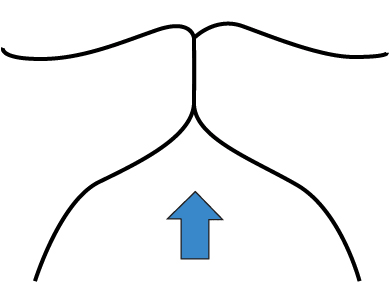 Learn to Love Your Folds - Anatomy of Your Voice, Pt. 1 — Blog