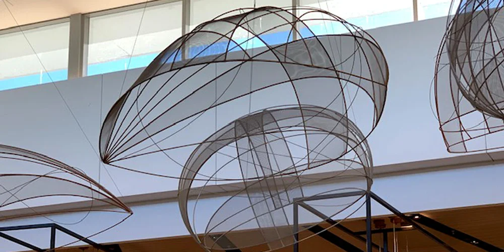 Dapto Mall sculptural artwork inspired by native flora Di Emme