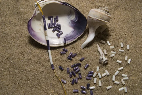 Wampum — Wampanoag Tribe of Gay Head (Aquinnah)