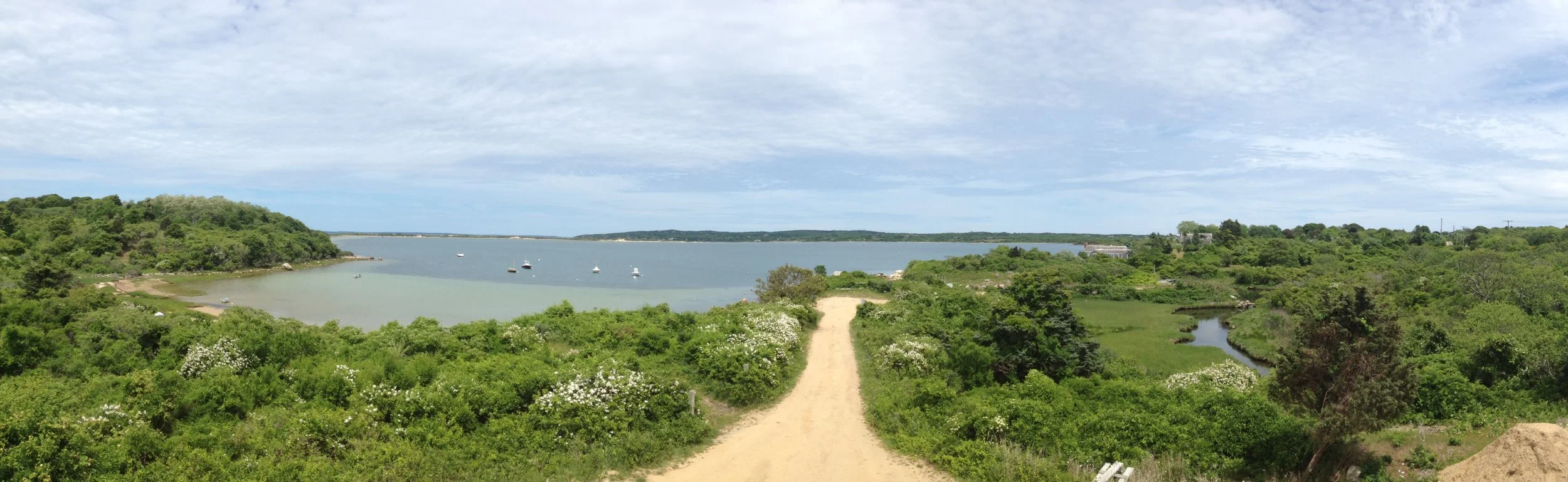 Services — Wampanoag Tribe of Gay Head (Aquinnah)
