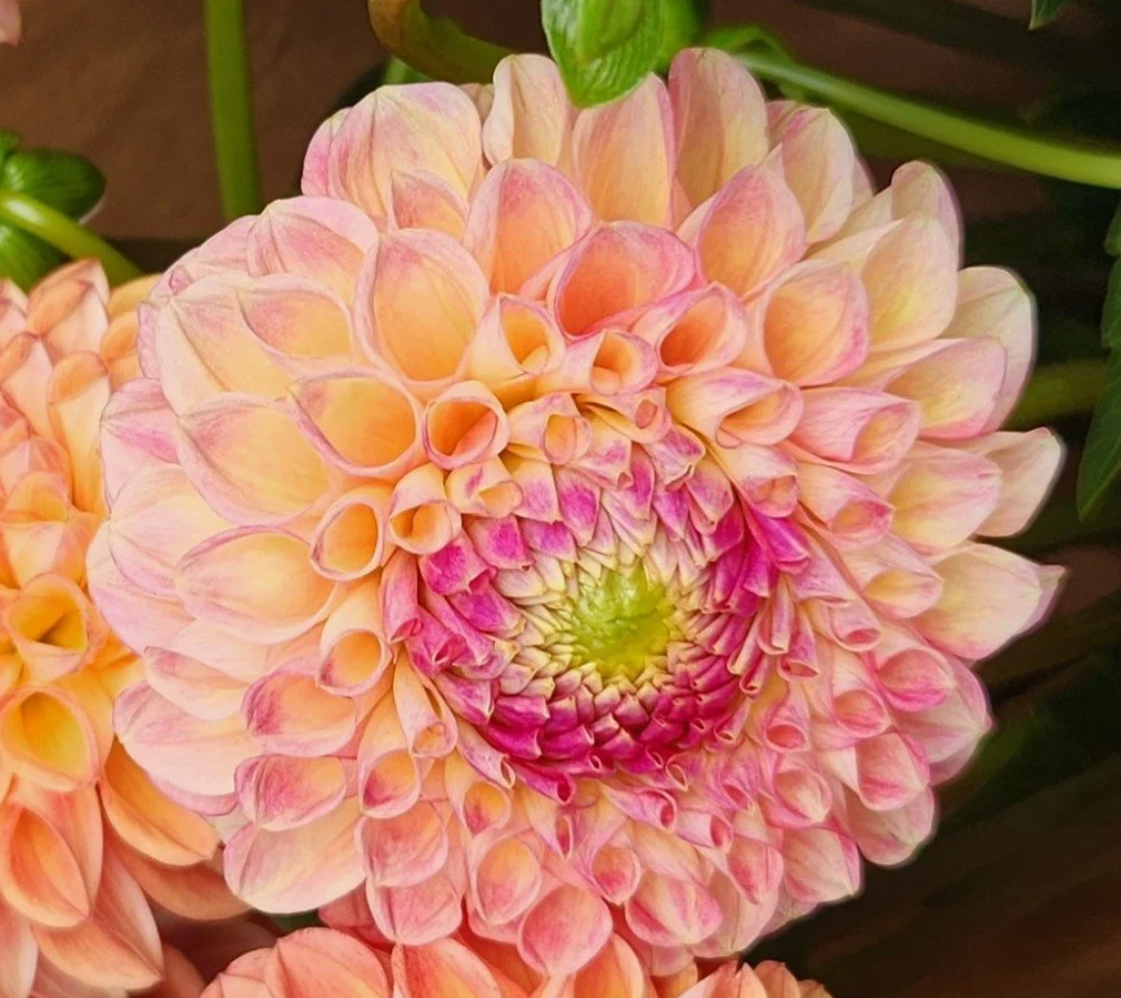 Crooked Barn Flower Farm