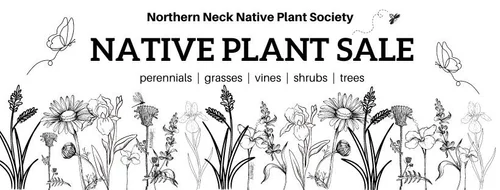 Northern Neck Native Plant Society