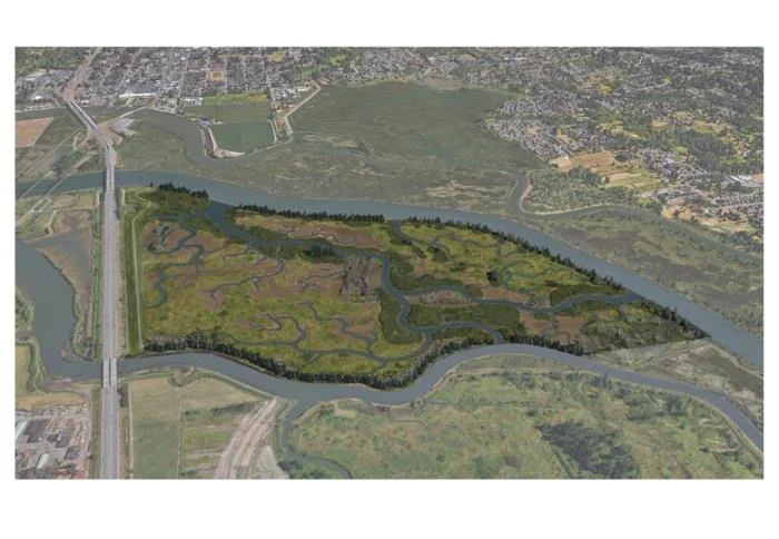 PORT OF EVERETT SALMON HABITAT CLEANUP – Washington Public Ports ...