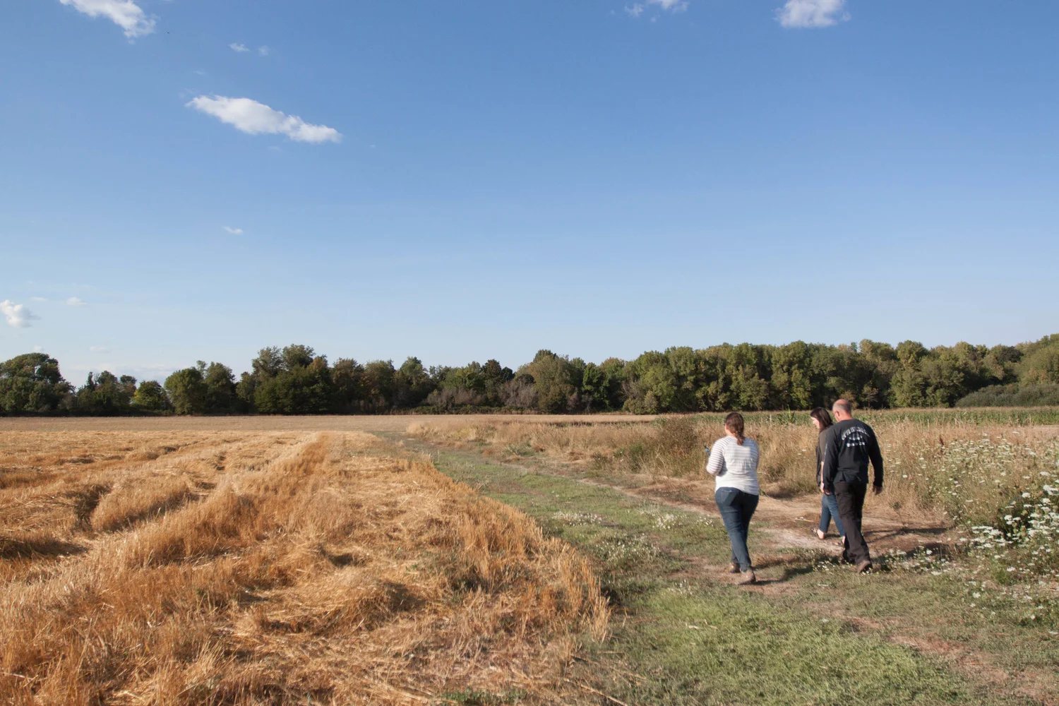 O'Loughlin Farms — OREGON BEE PROJECT