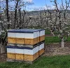 Beekeeping — OREGON BEE PROJECT