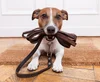 Two Rivers Veterinary Practice