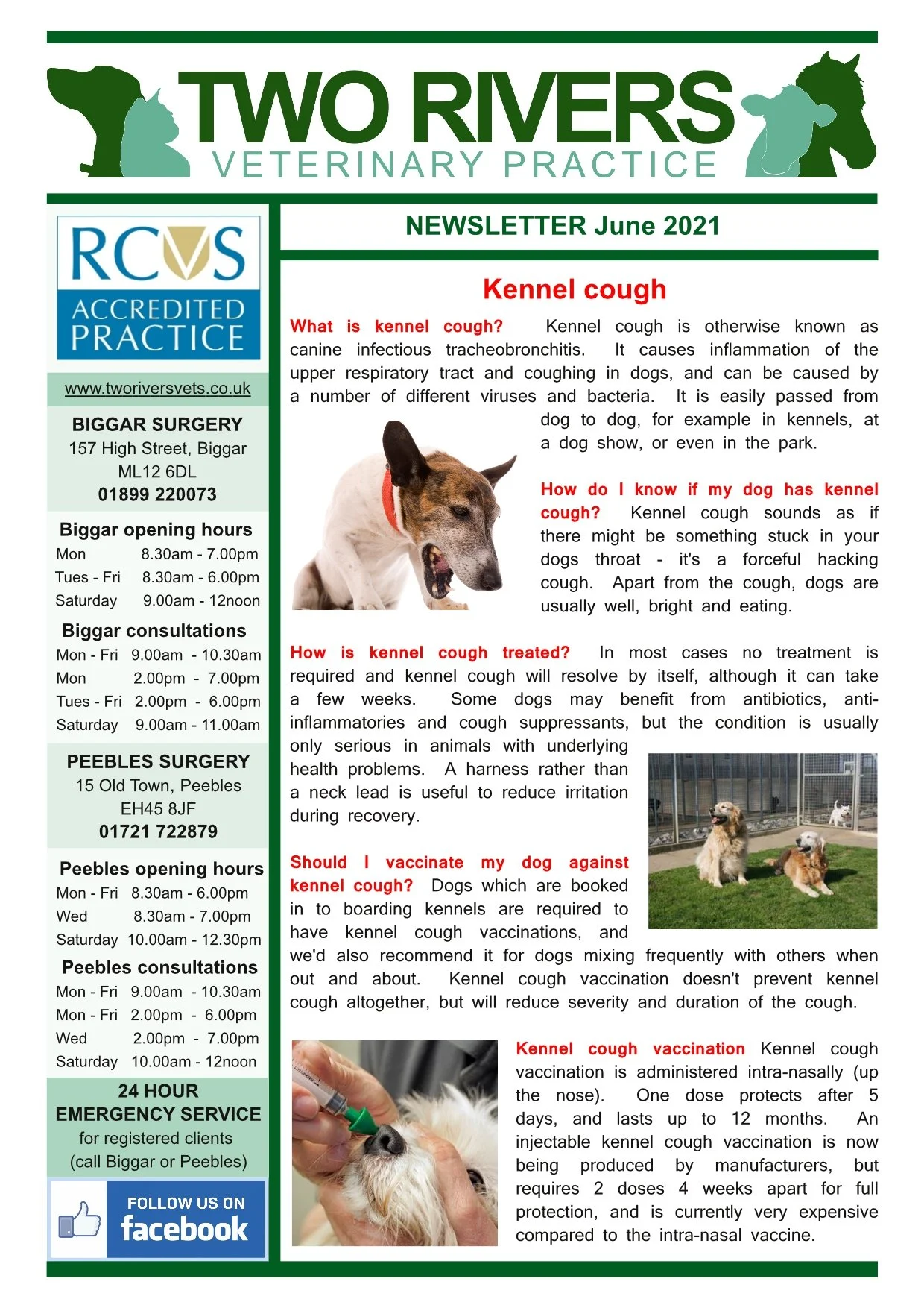 Newsletters — Two Rivers Veterinary Practice