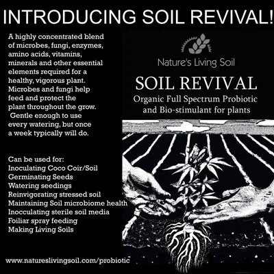 BASIC GROW GUIDE — Nature's Living Soil
