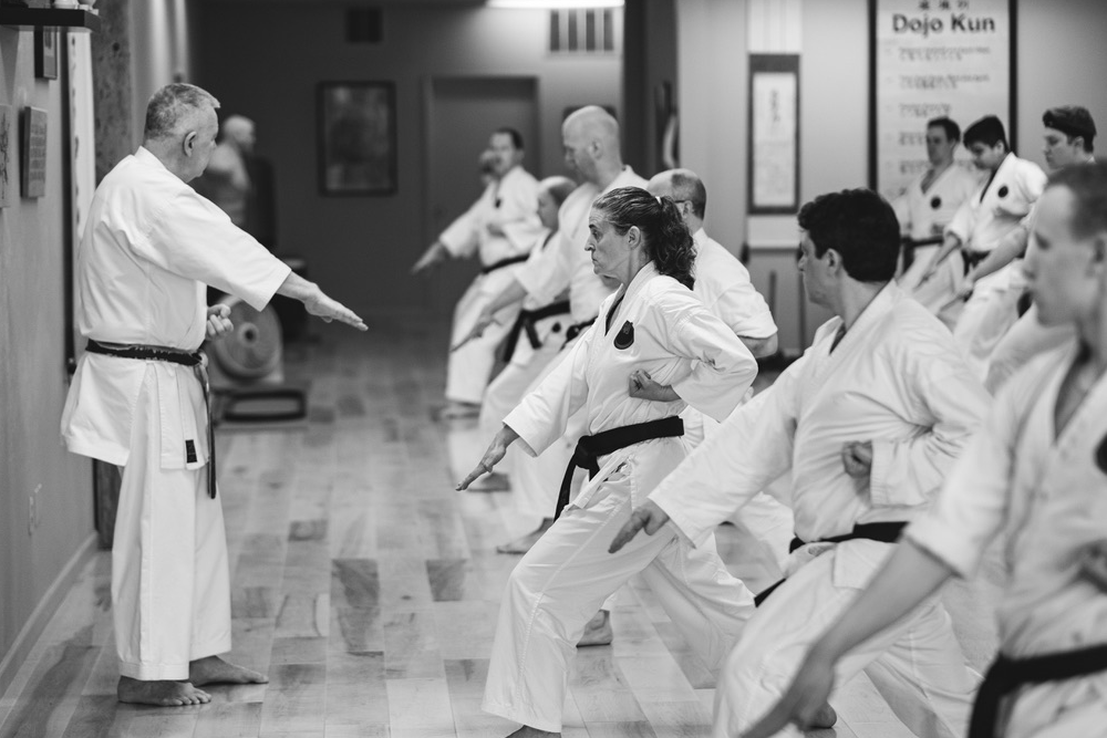 About Seishinkan Dojo - Karate on Main — SEISHINKAN KARATE ON MAIN