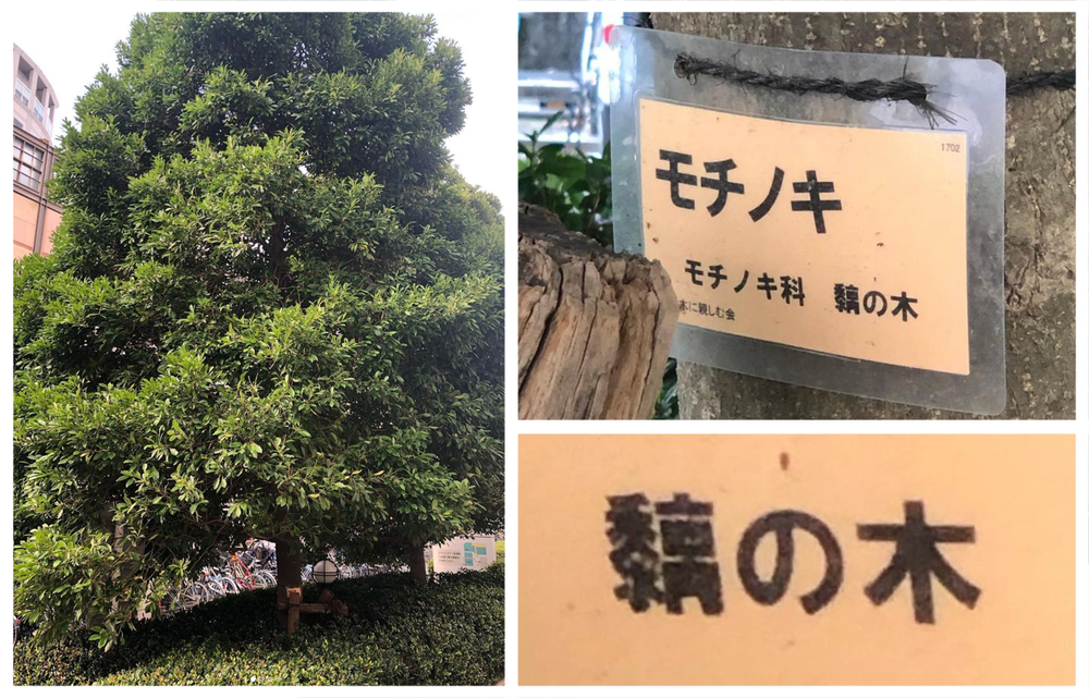 Concepts, Theories, and Applications within Goju Ryu Karate ...