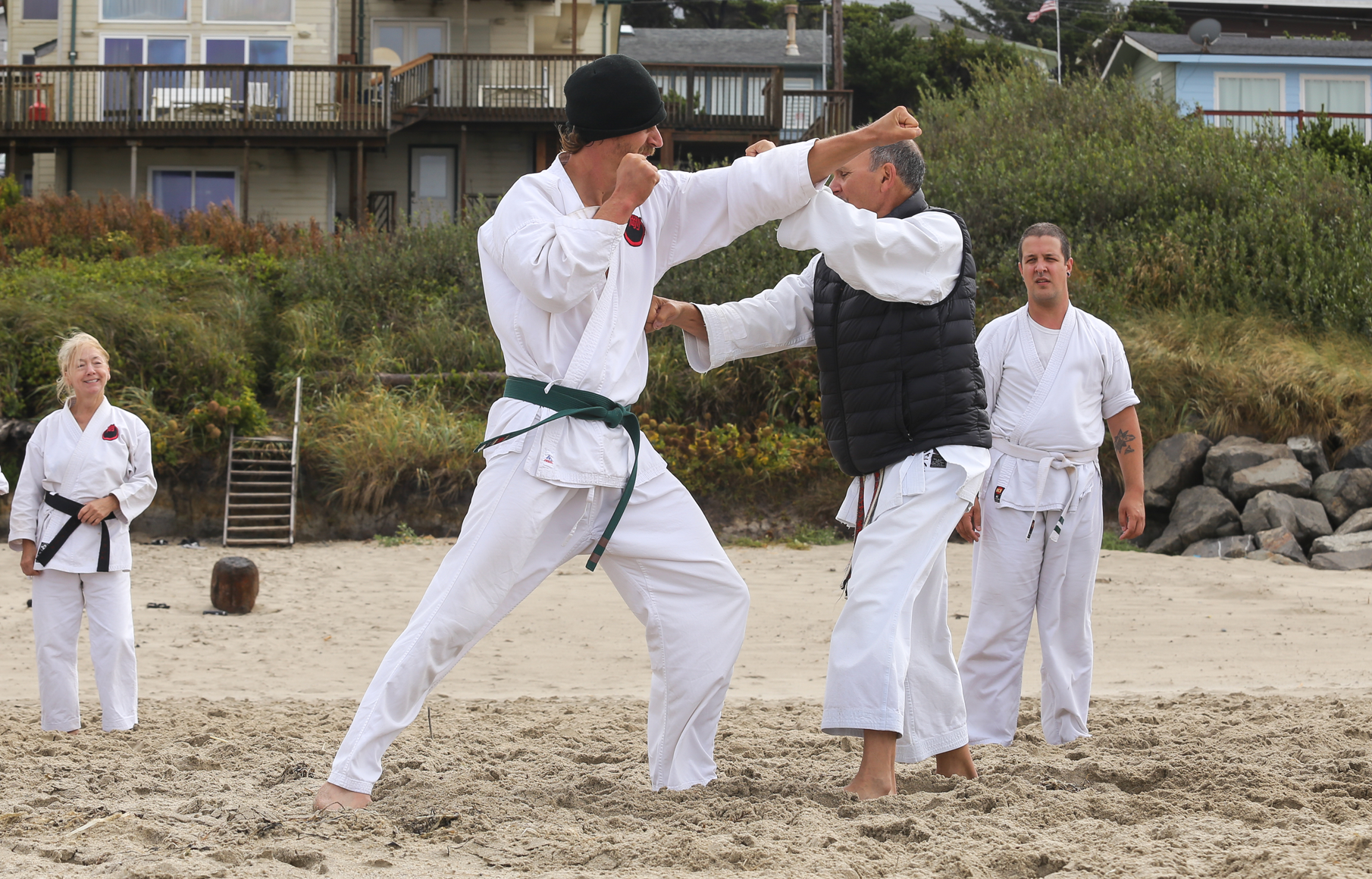 Concepts, Theories, and Applications within Goju Ryu Karate ...