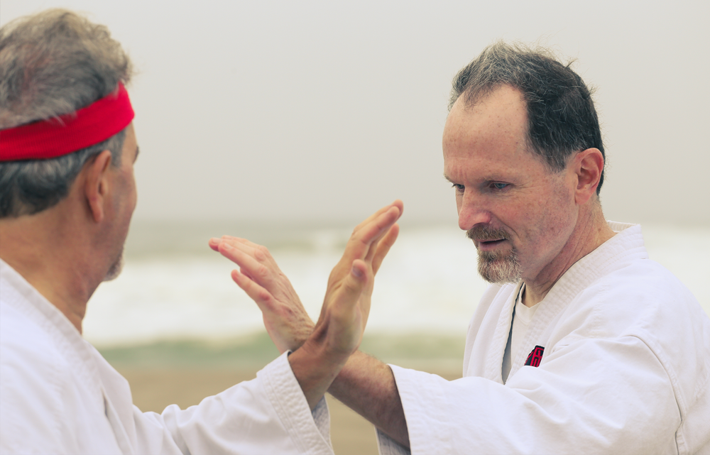 Concepts, Theories, and Applications within Goju Ryu Karate ...