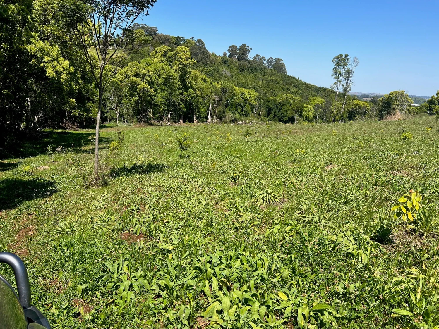 Subtropical Farm Forestry Association
