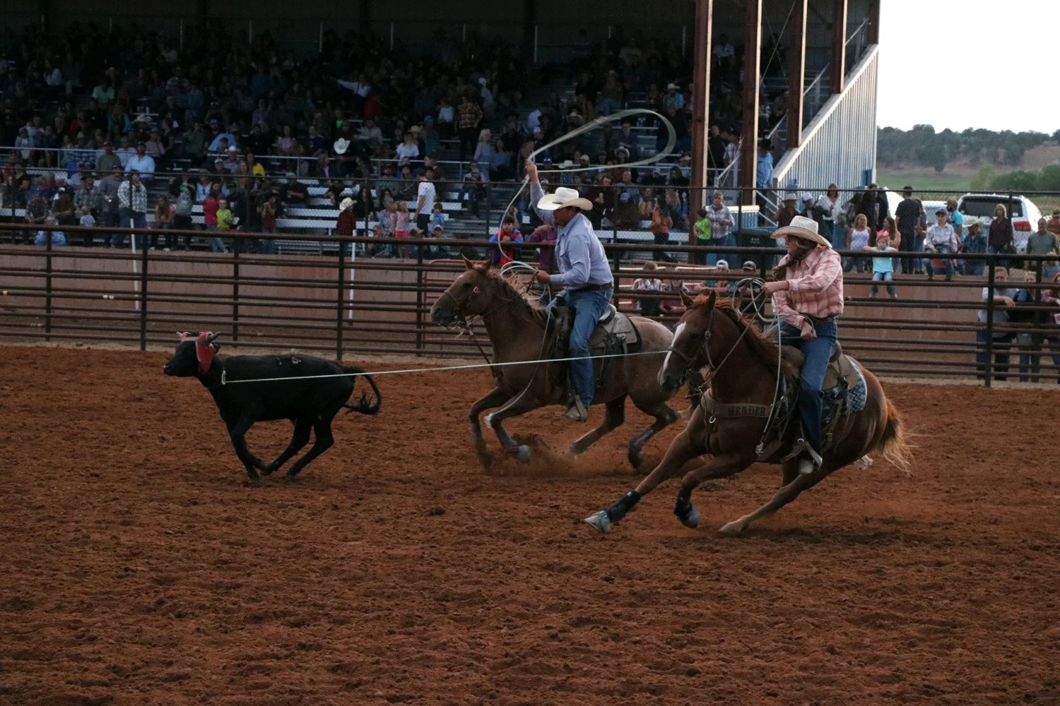 The San Miguel Rodeo Rides Again — KOTO RADIO