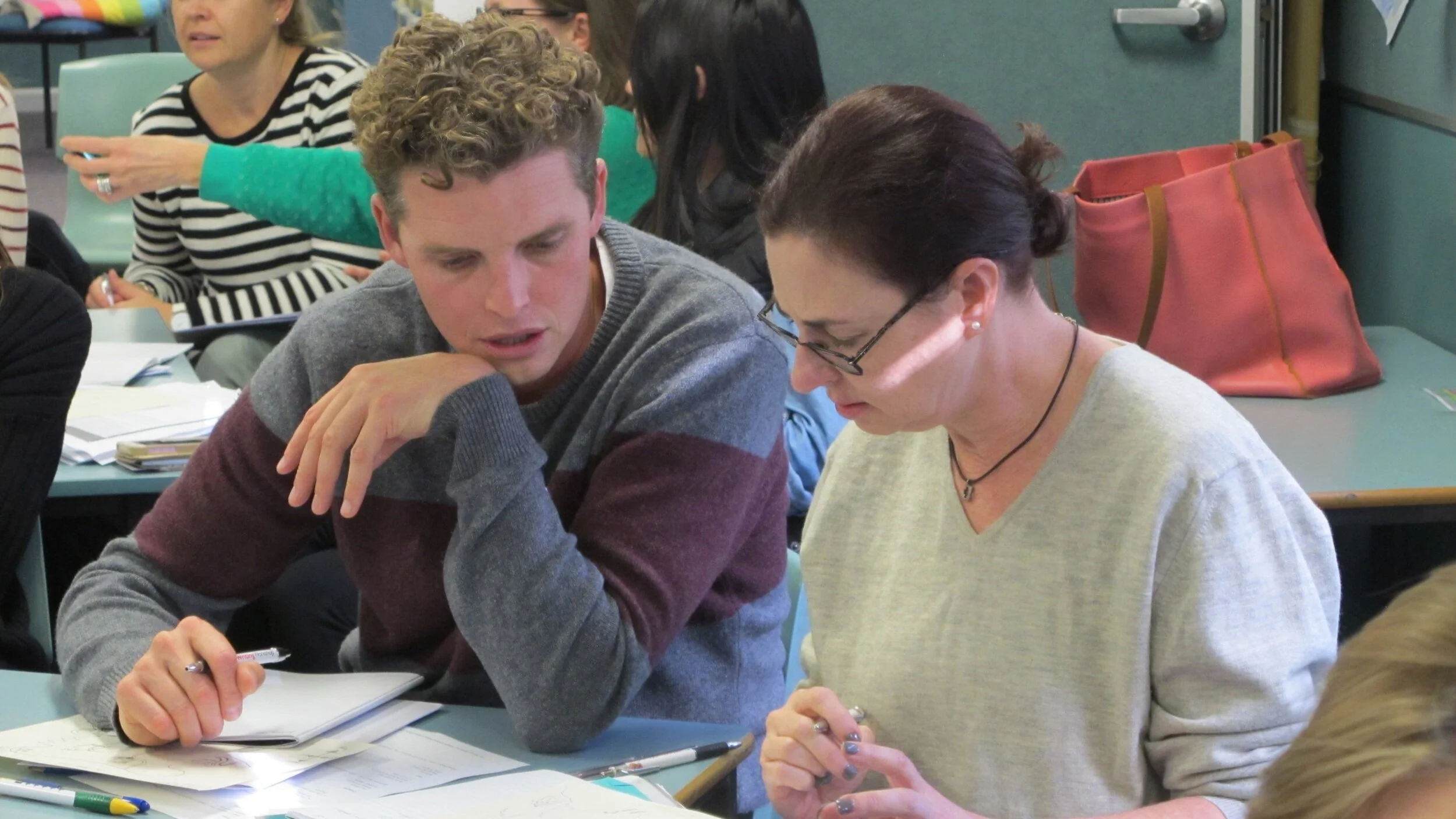 Teacher Professional Development — The Writing Workshop
