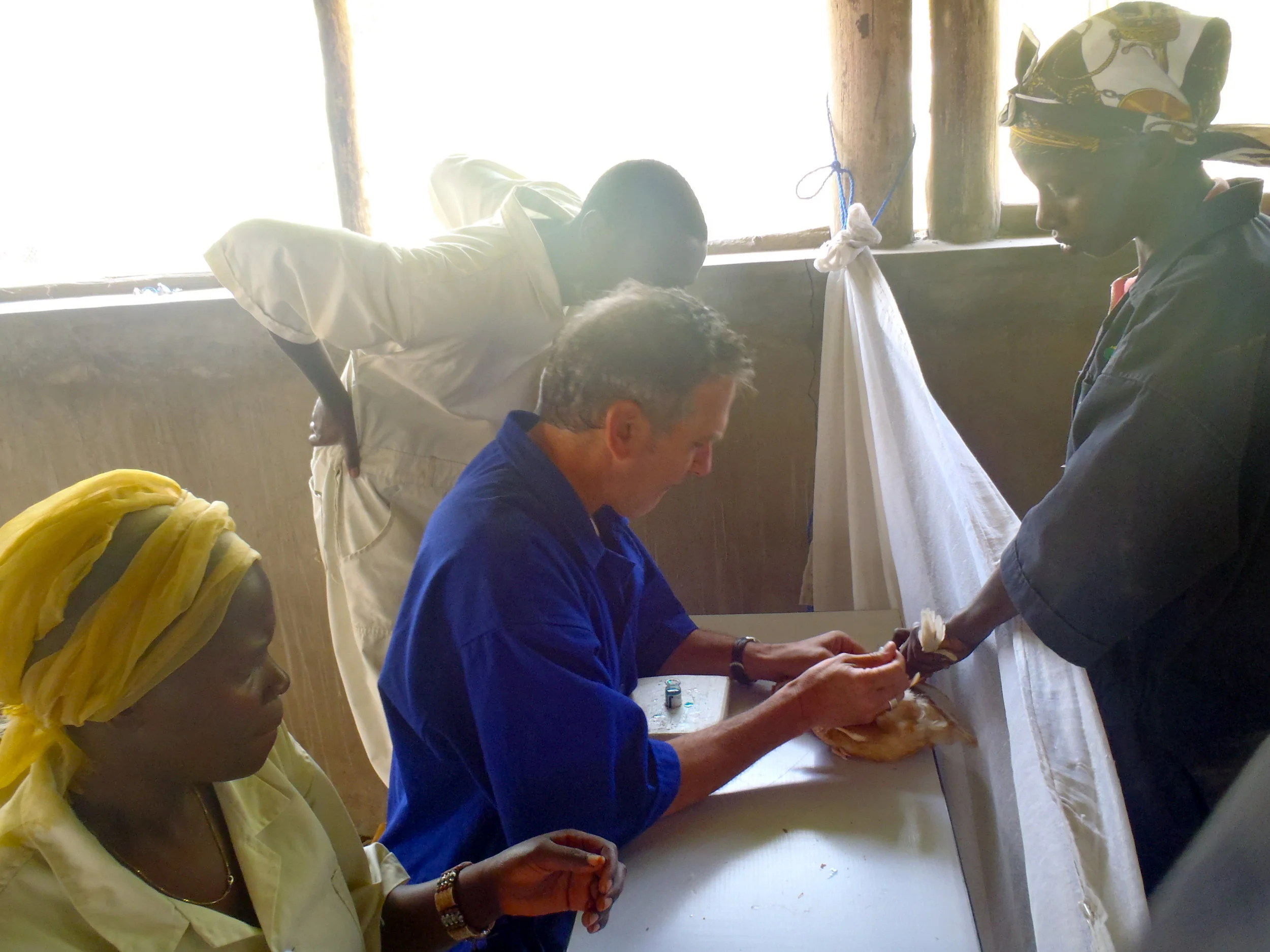 Zamura Farms — African Sustainable Agriculture Project