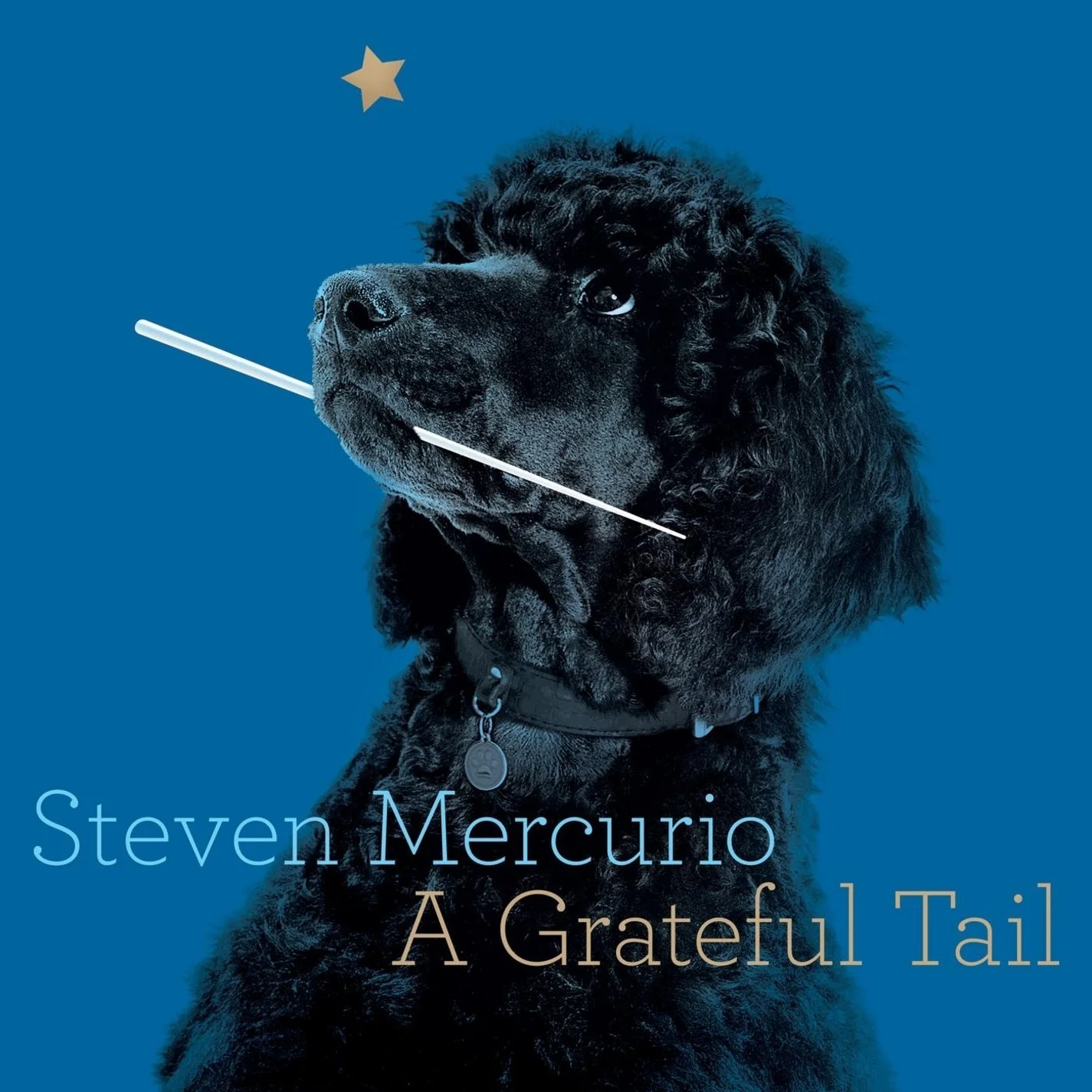 Discography — Steven Mercurio