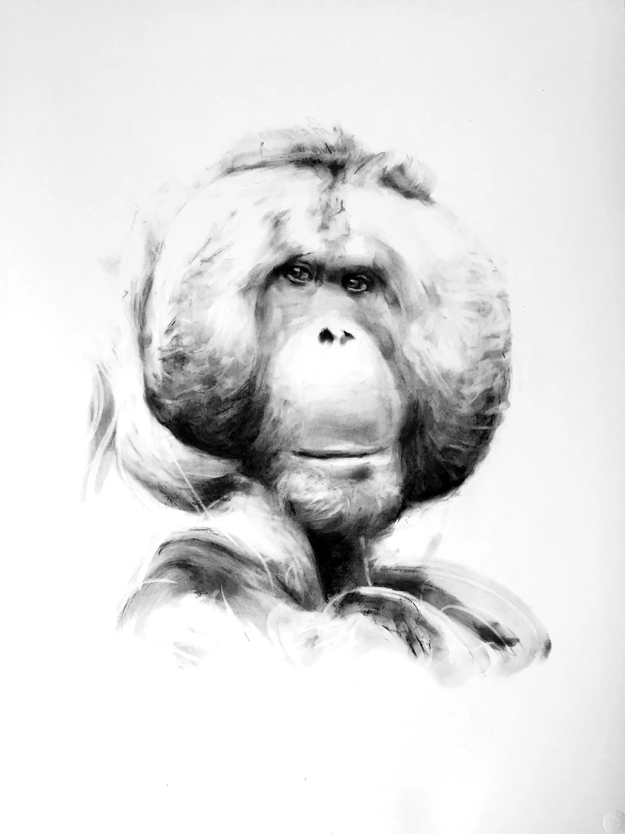 charcoal — NICK LEPARD