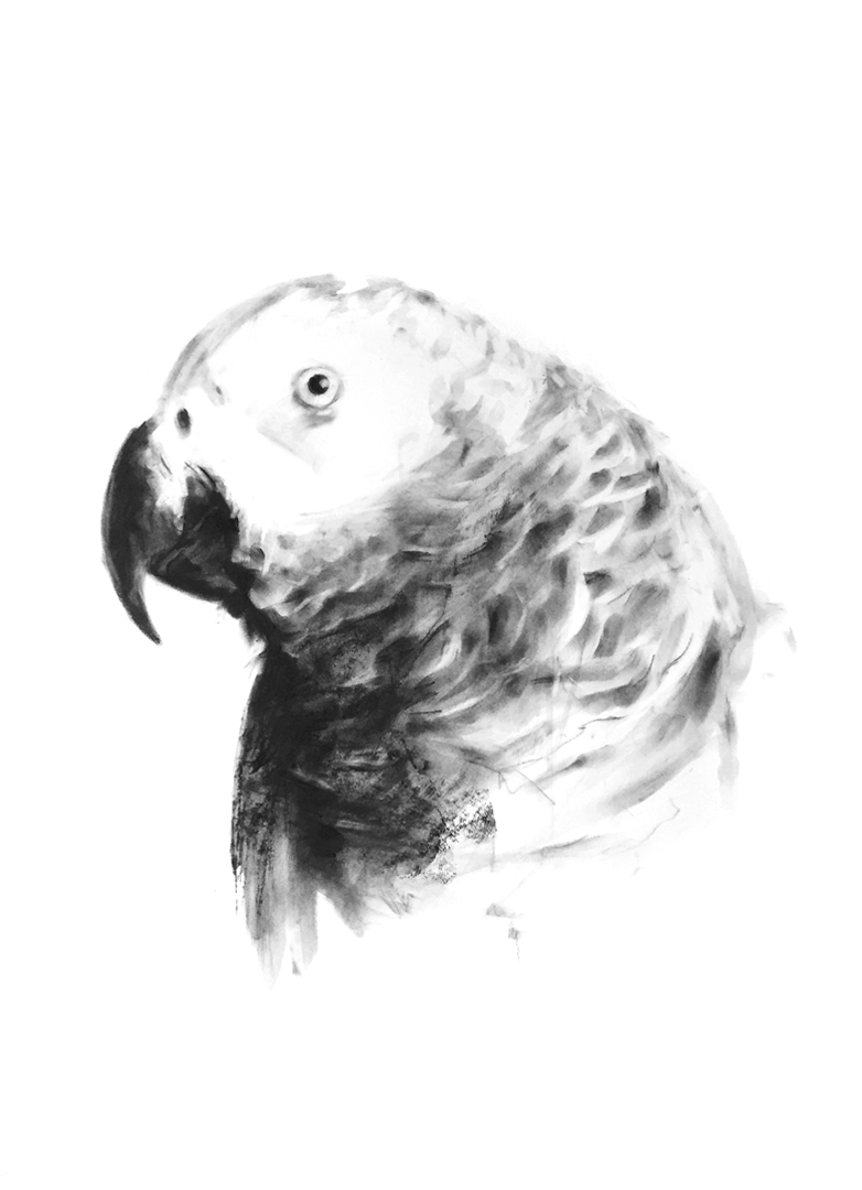 charcoal — NICK LEPARD