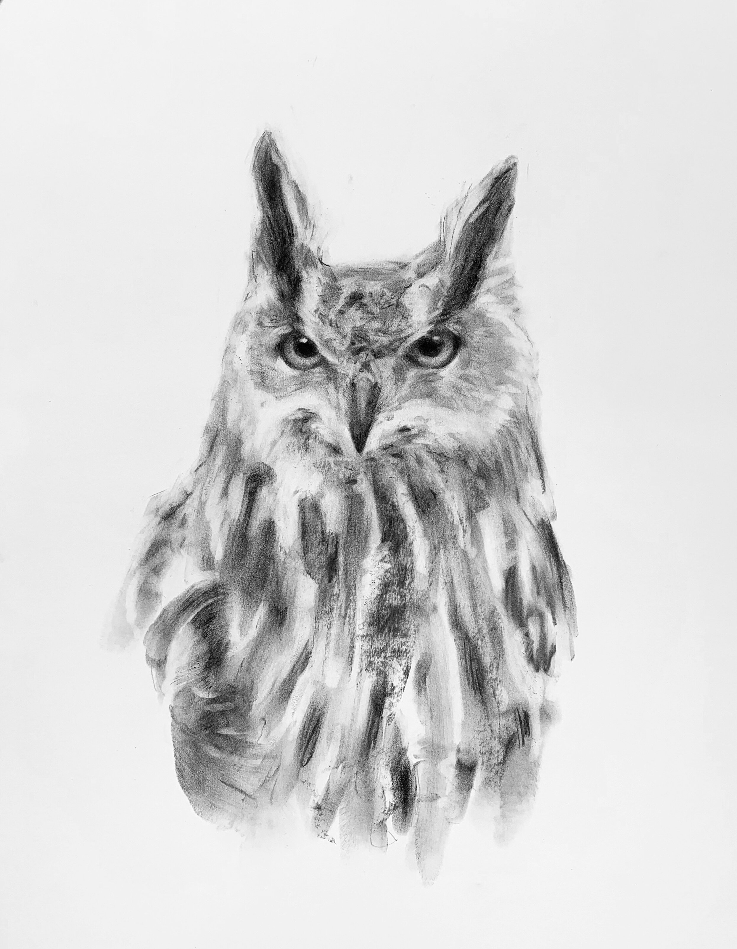 charcoal — NICK LEPARD