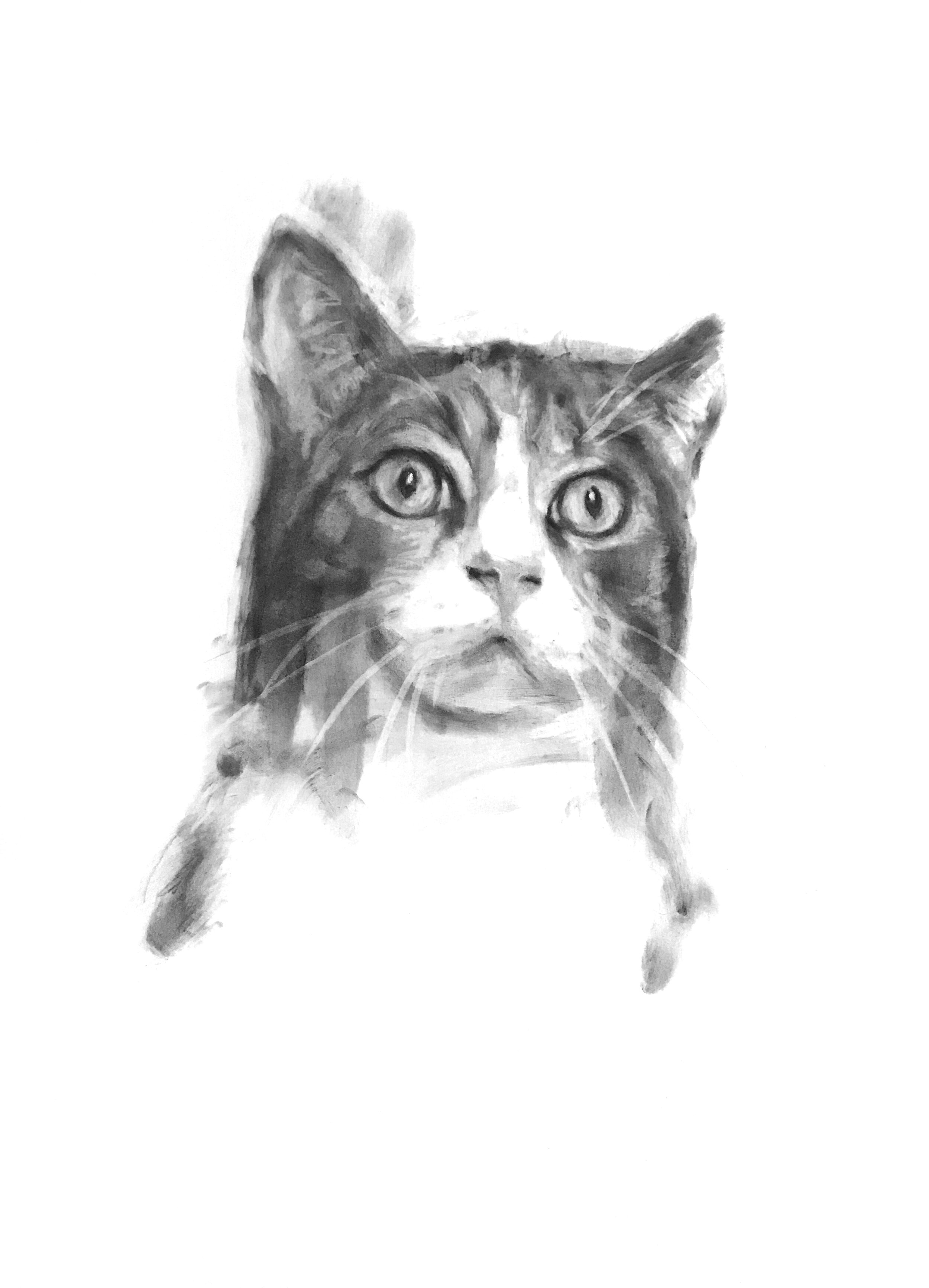 charcoal — NICK LEPARD