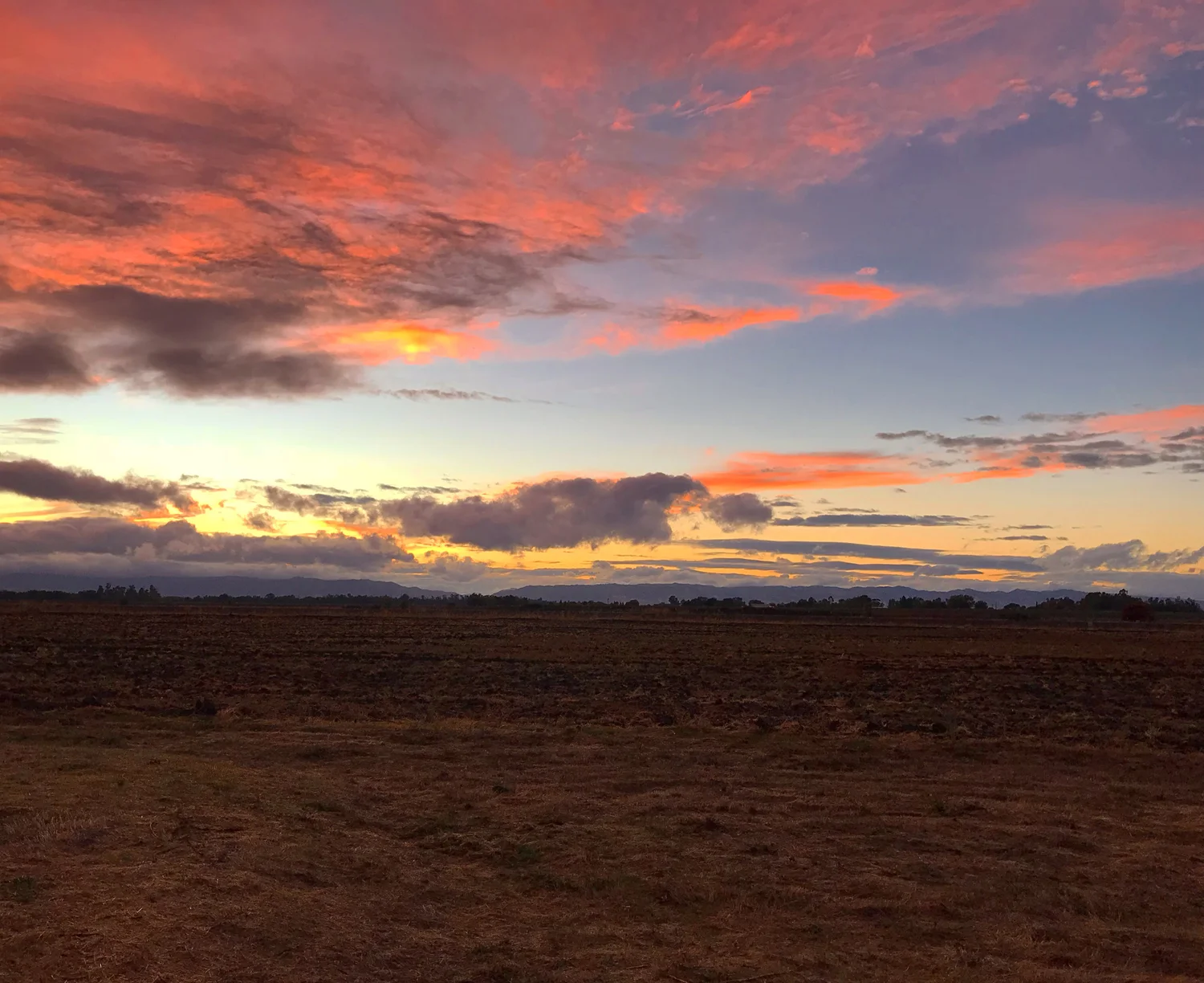 The Bliss-Moreau Laboratory